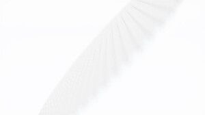 Quobly, shaping a better digital future